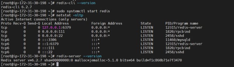 Install Redis On Amazon Linux 2 (official) - awslagi.com